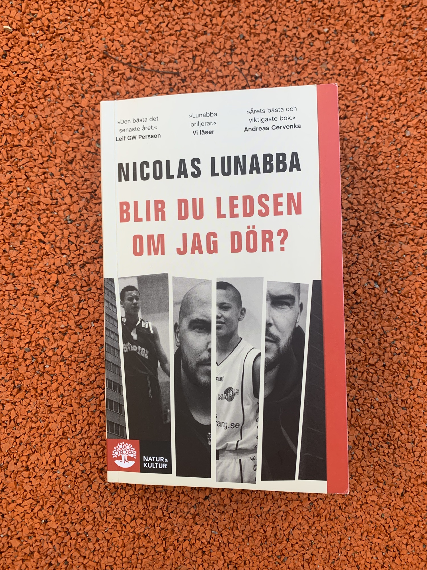 Blir du ledsen om jag dör? (2023) av Nicolas Lunabba – bokologen.se